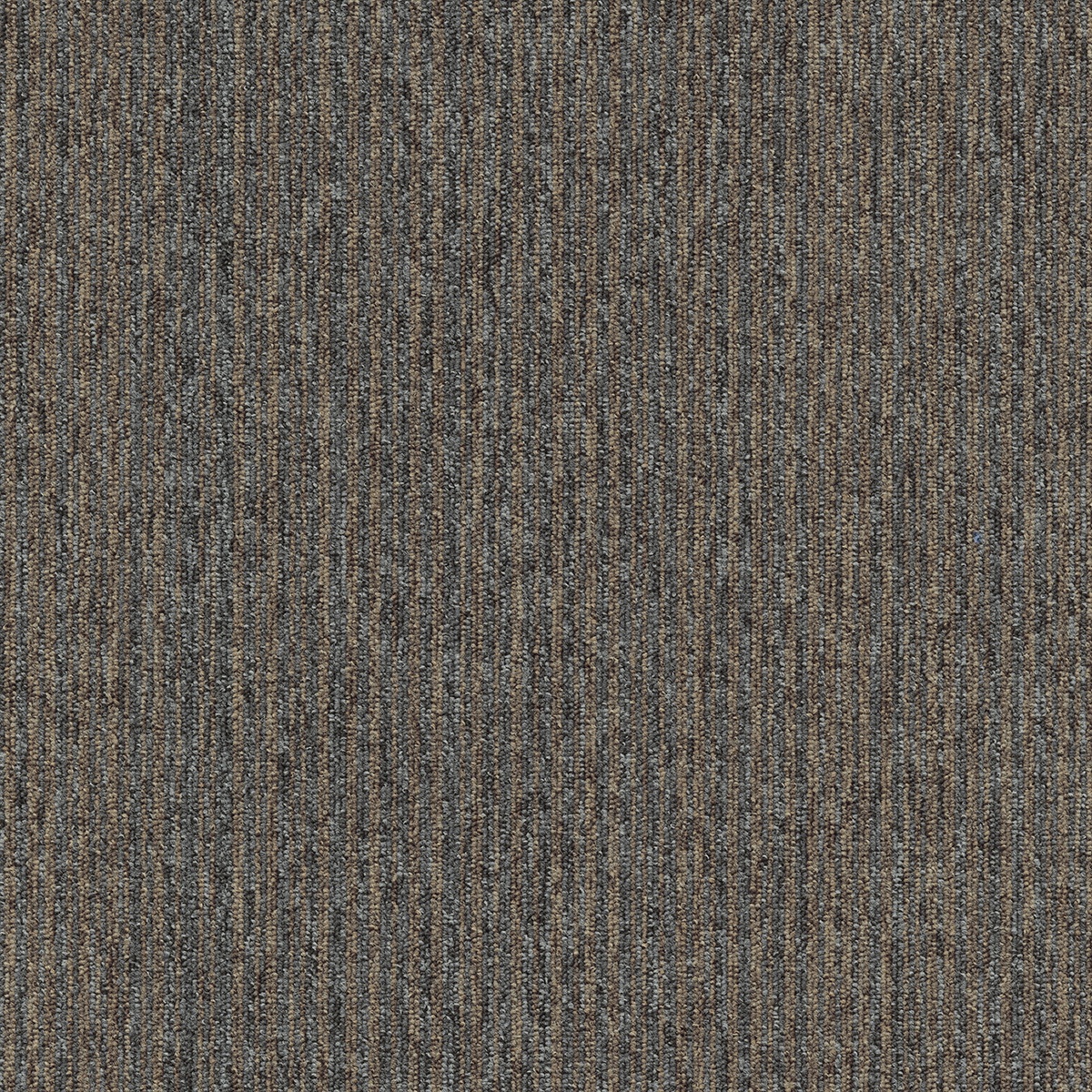 Coral/Coral Lines