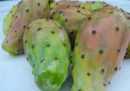 Tunas (kg)