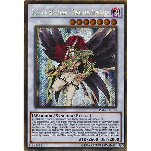 Blackwing Tamer - Obsidian Hawk Joe - PGL2-EN012 - Gold S...