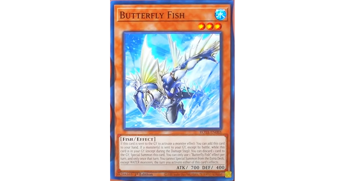 Butterfly Fish - ROTA-EN088 - Common 1st Edition