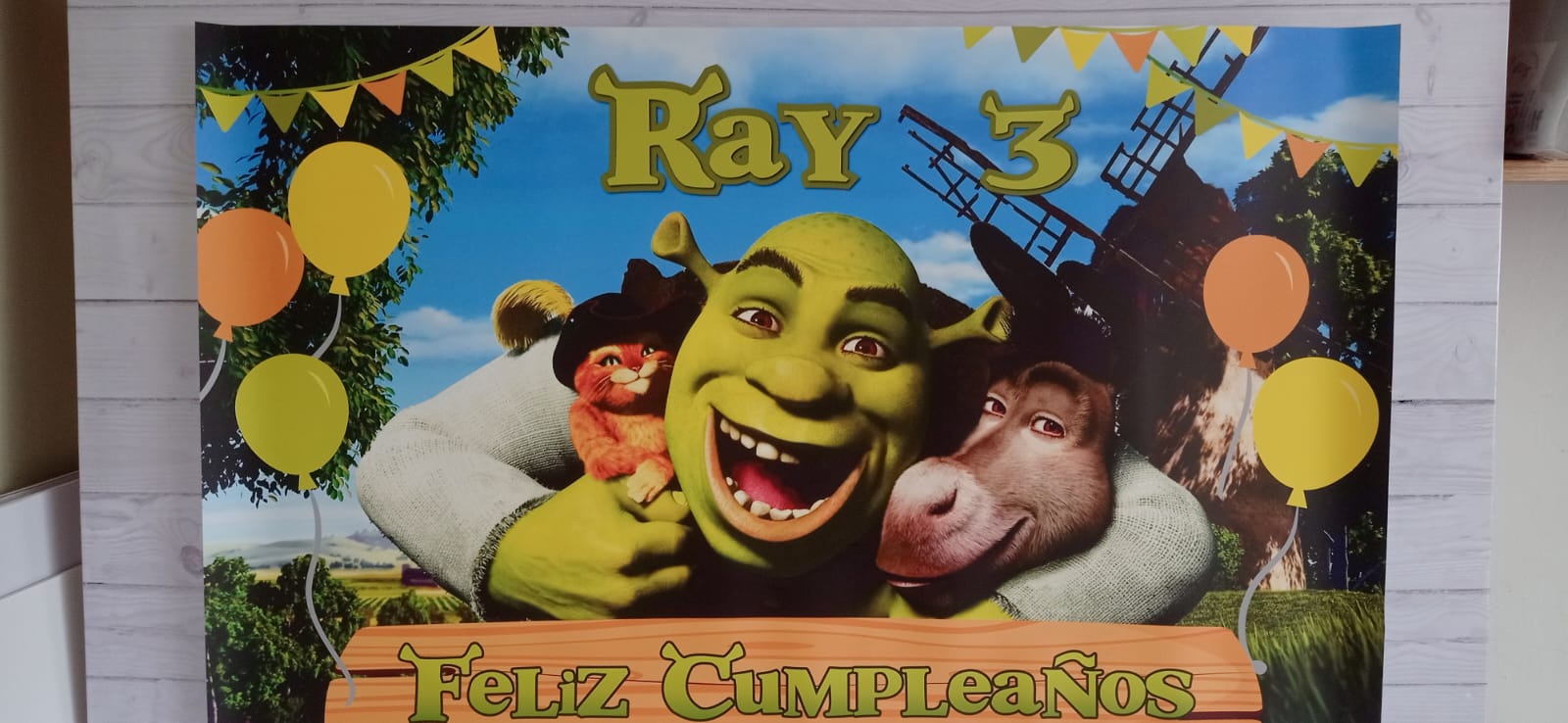 Póster Shrek Ray 3