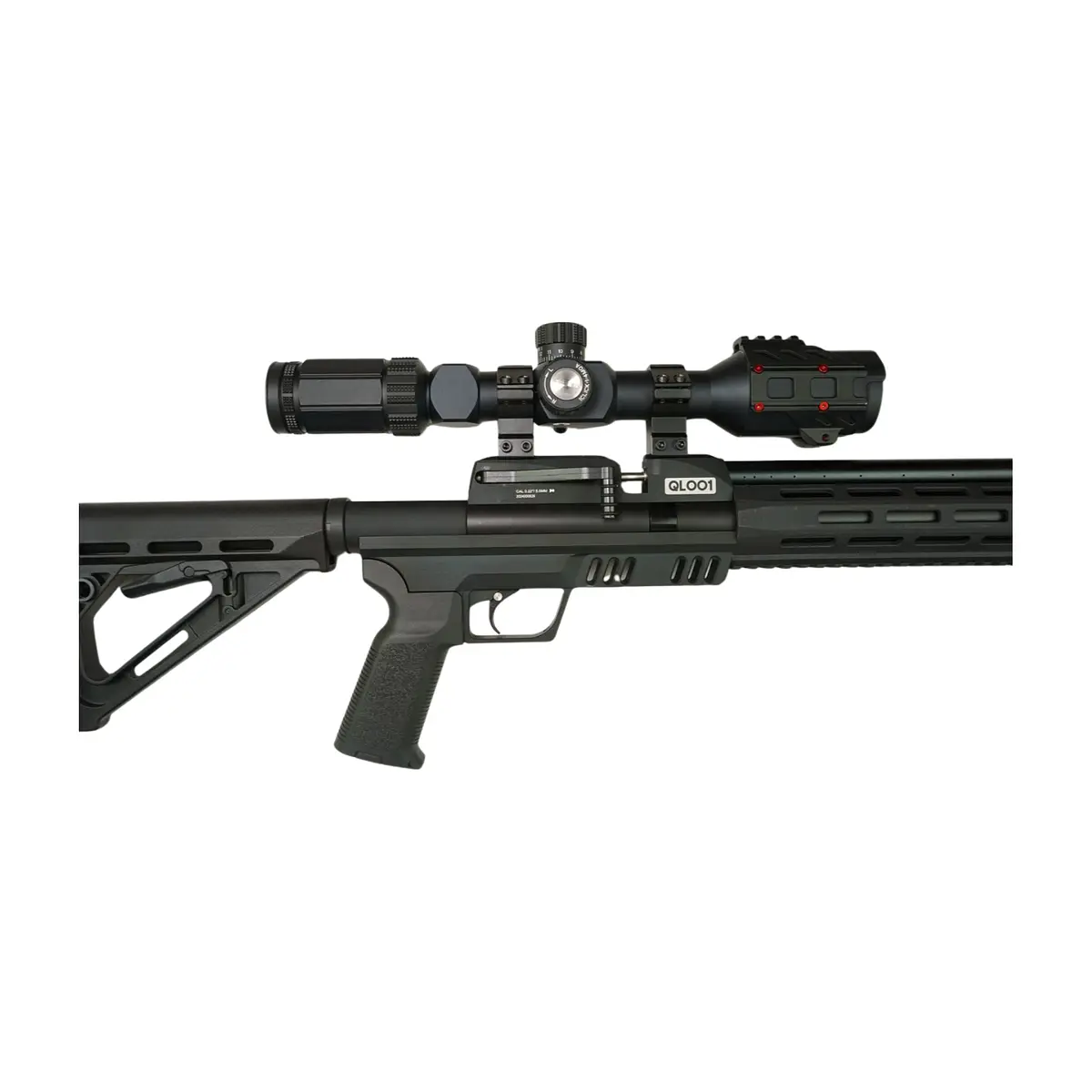 Rifle PCP QL001