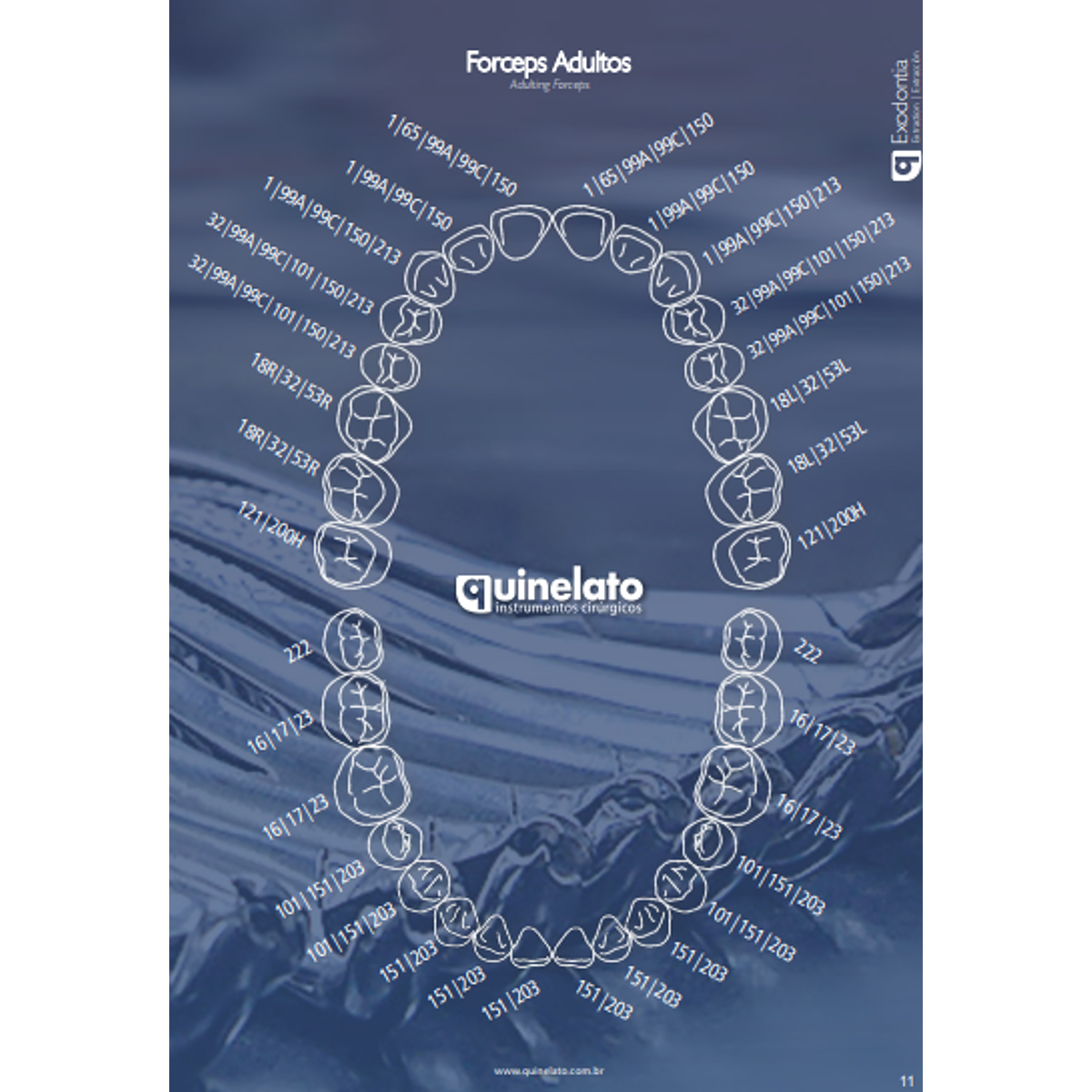 Forceps Adulto nº 99C - Quinelato | DENTINET - Insumos Dentales