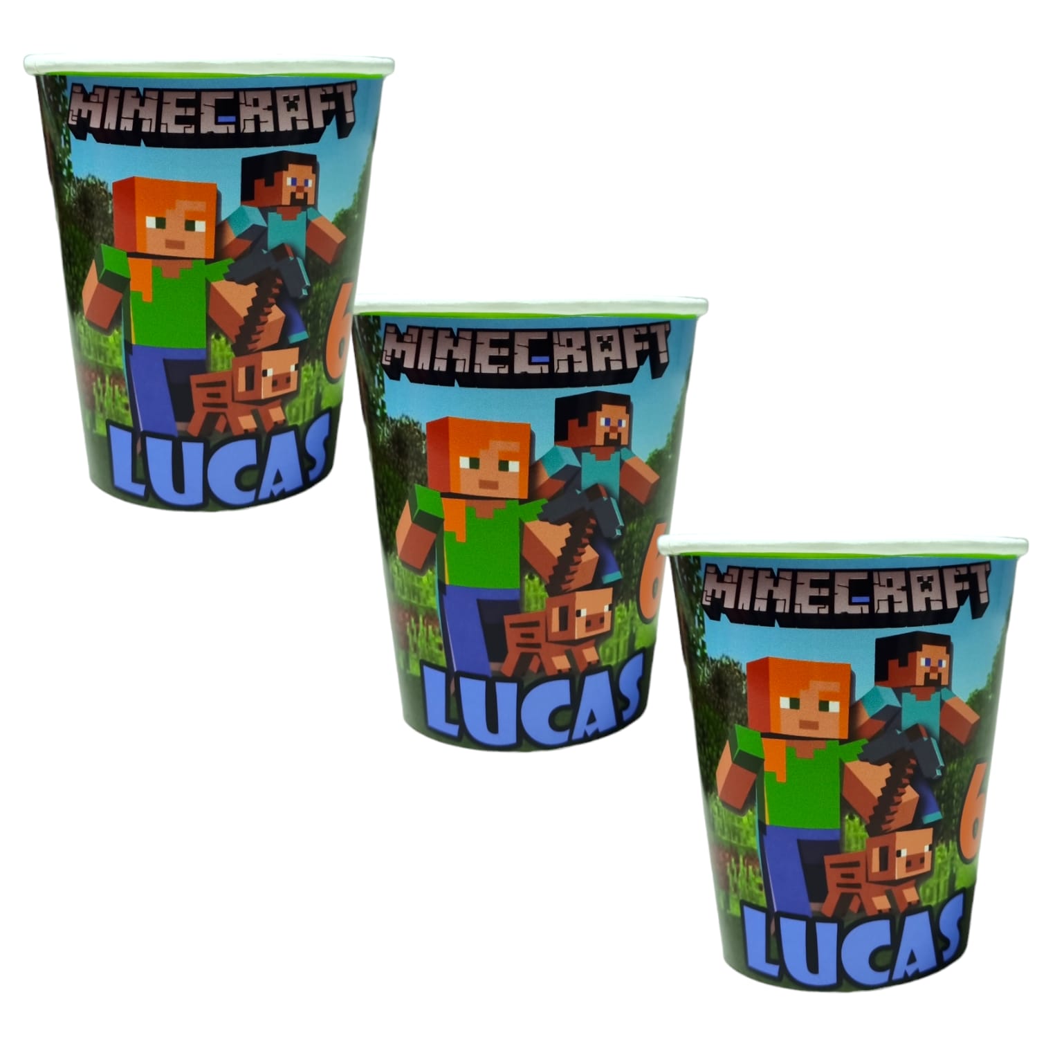Vaso Personalizado Minecraft