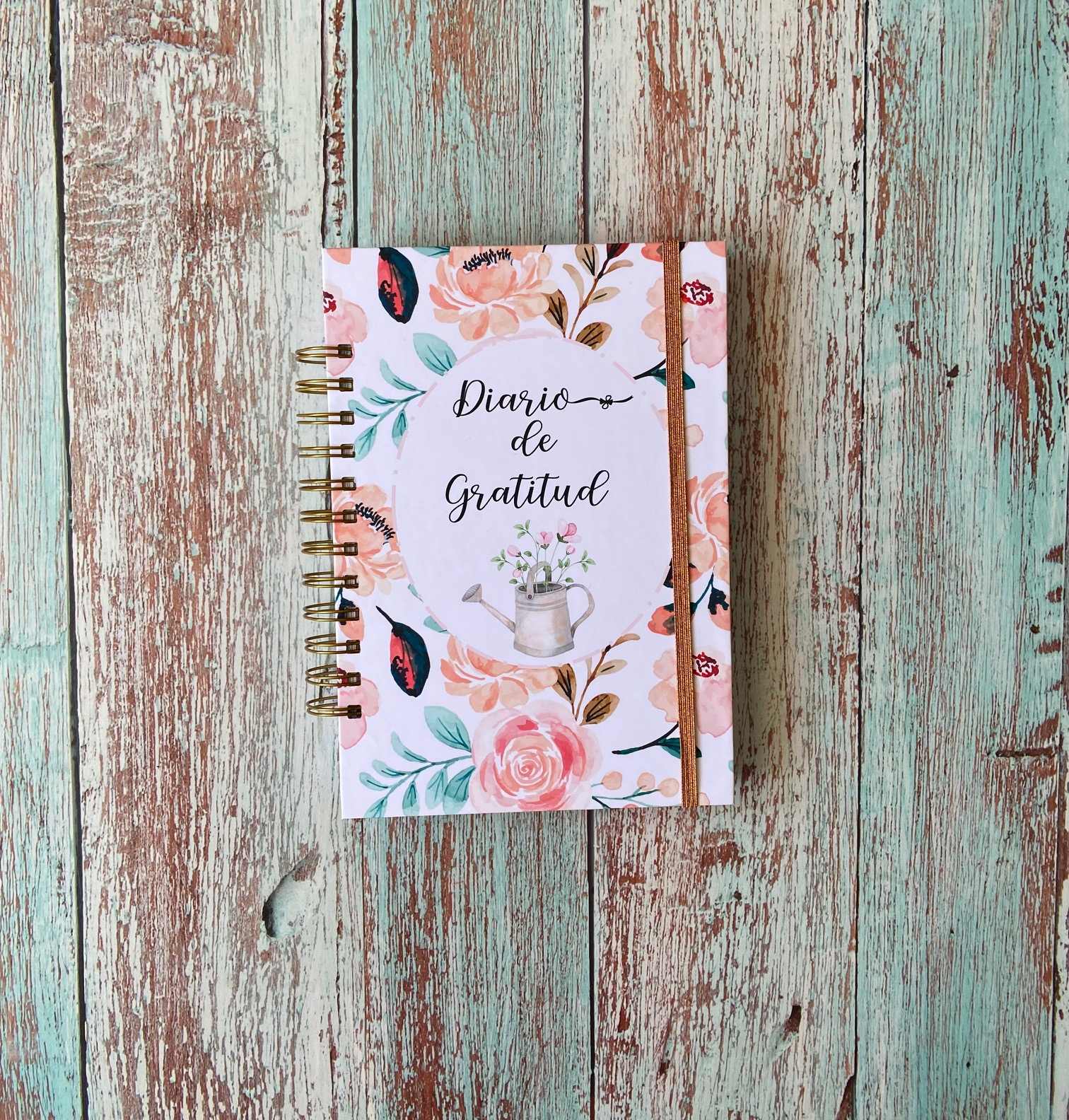 Diario de Gratitud