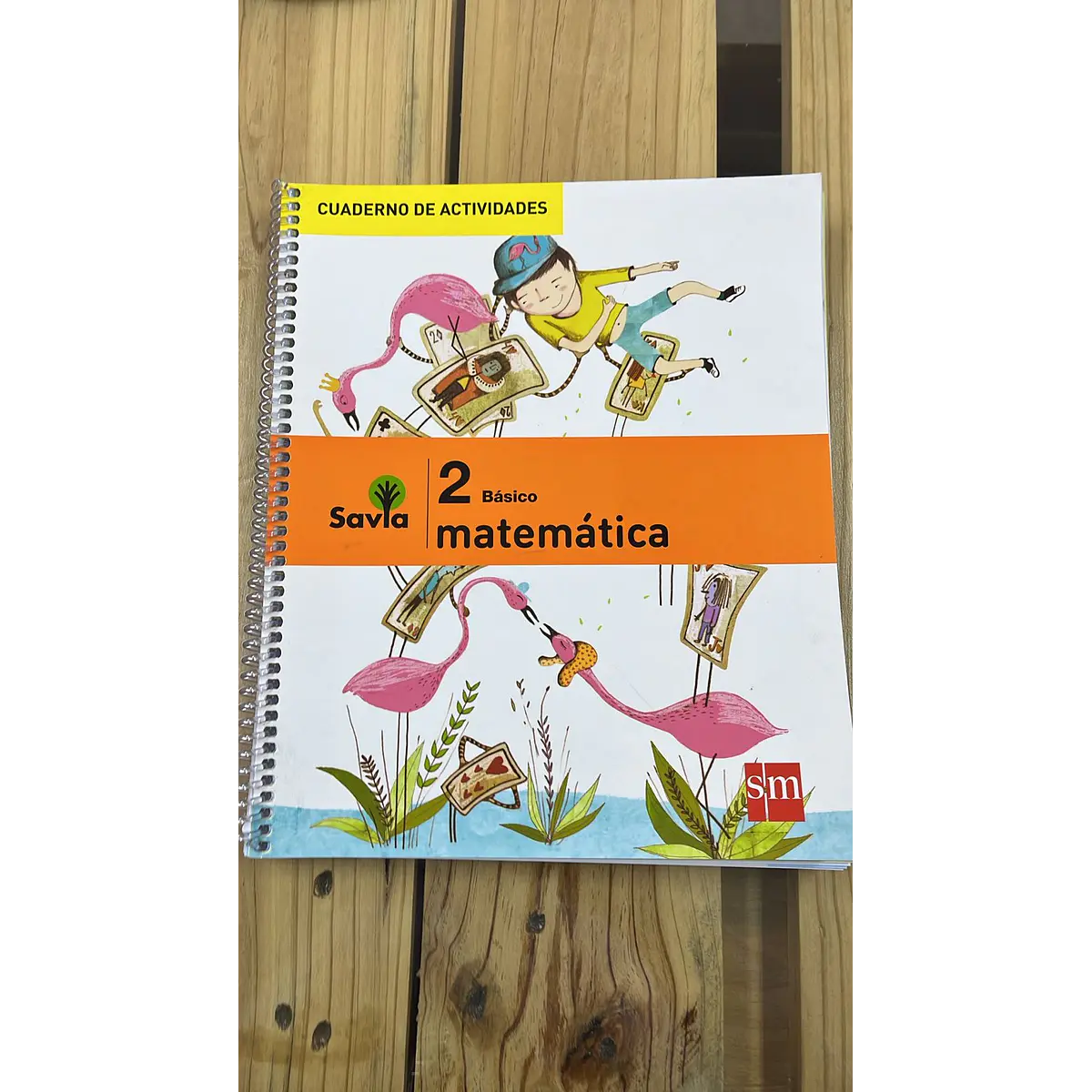 Cuaderno De Actividades Matemática 2 Básico
