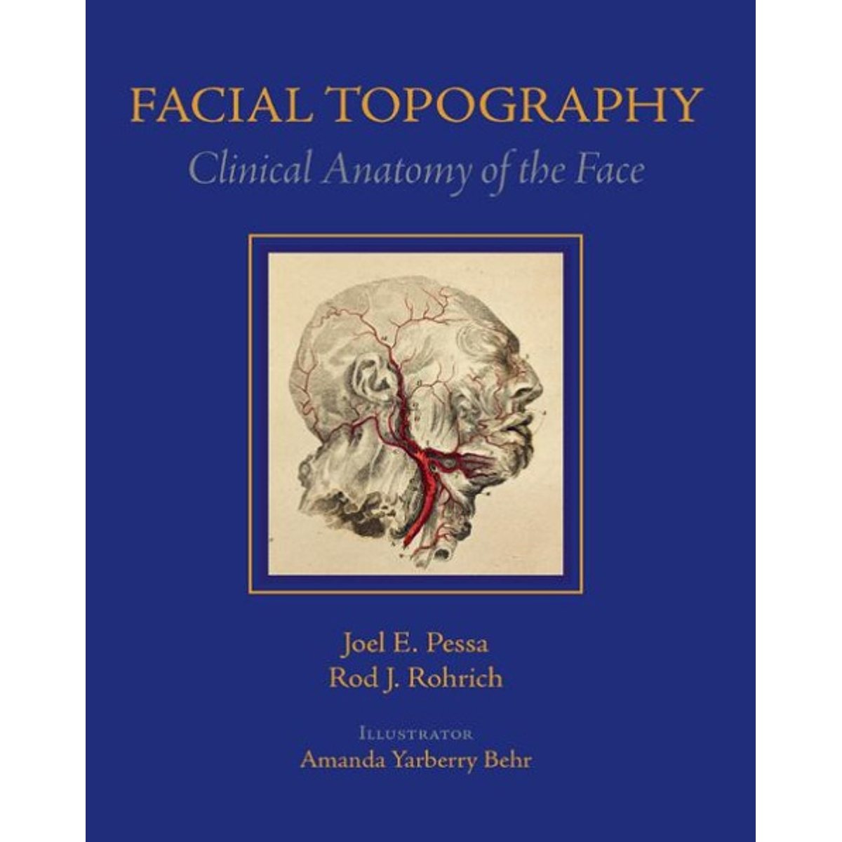 Facial Topography: Clinical Anatomy of the Face