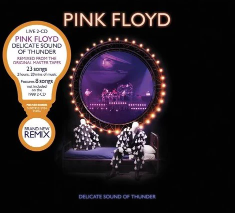 PINK FLOYD – DELICATE SOUND OF THUNDER -- 2 CDS