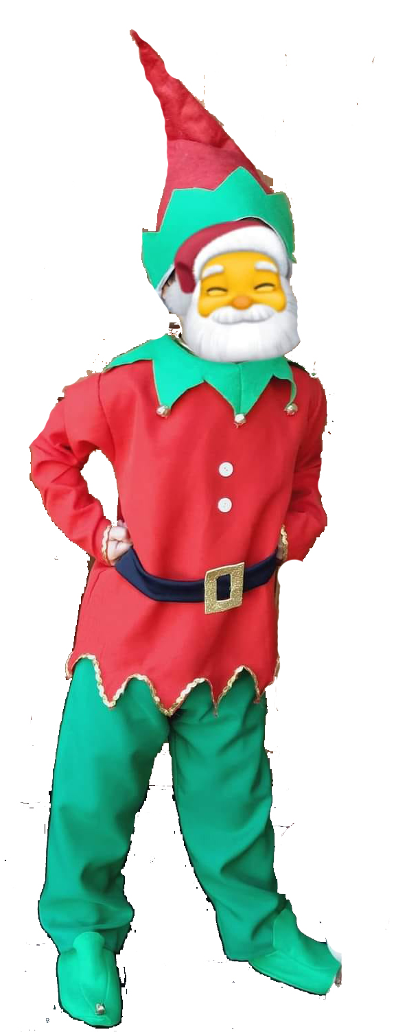 TRAJE DUENDE NIÑO