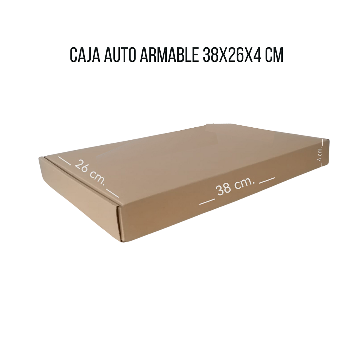 Cajas Autoarmables 20x10x6 Cm Pack De 20 Unidades