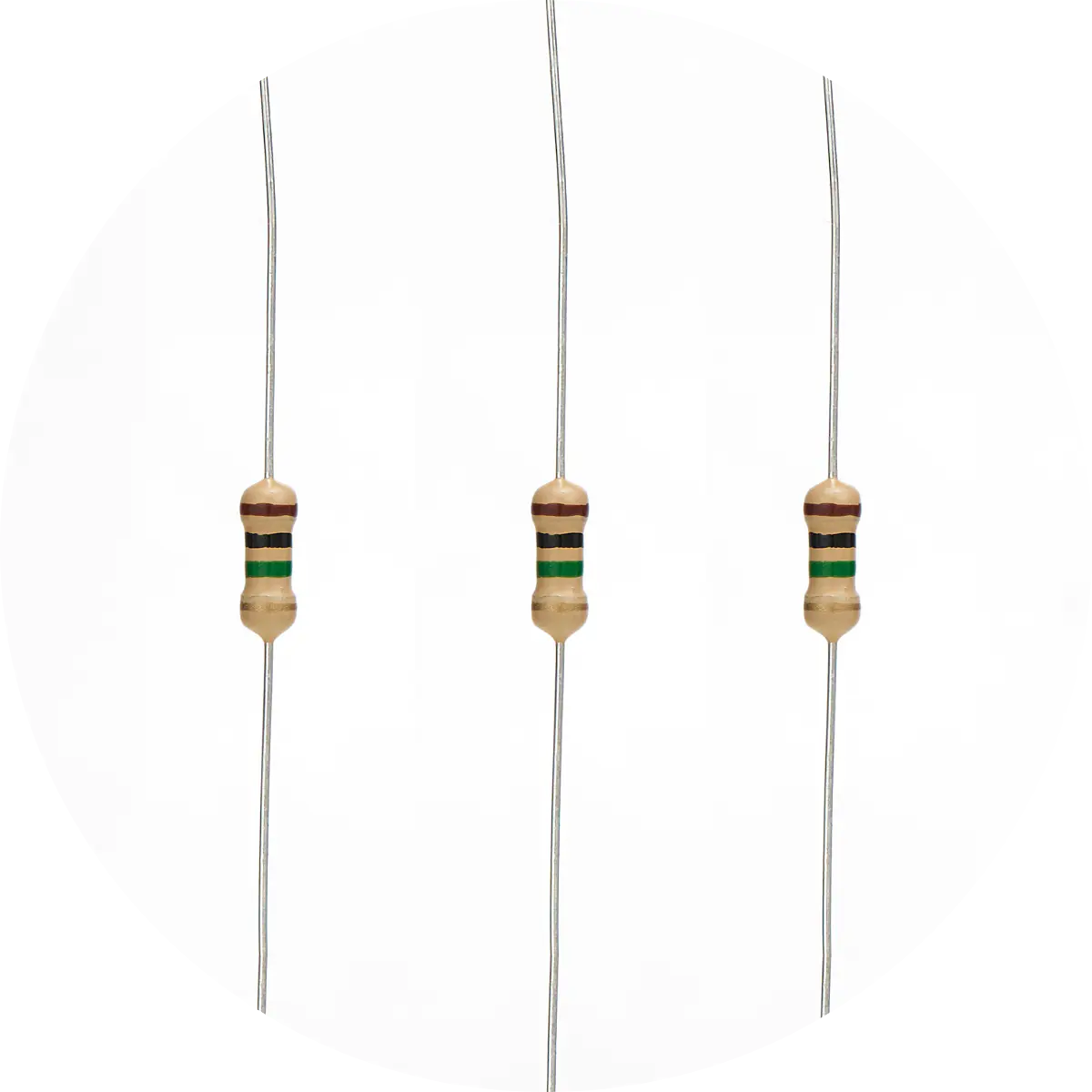 10 Mega Ohms 1/4W