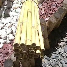 Dosel Bambú | Varas y Productos de Bambú