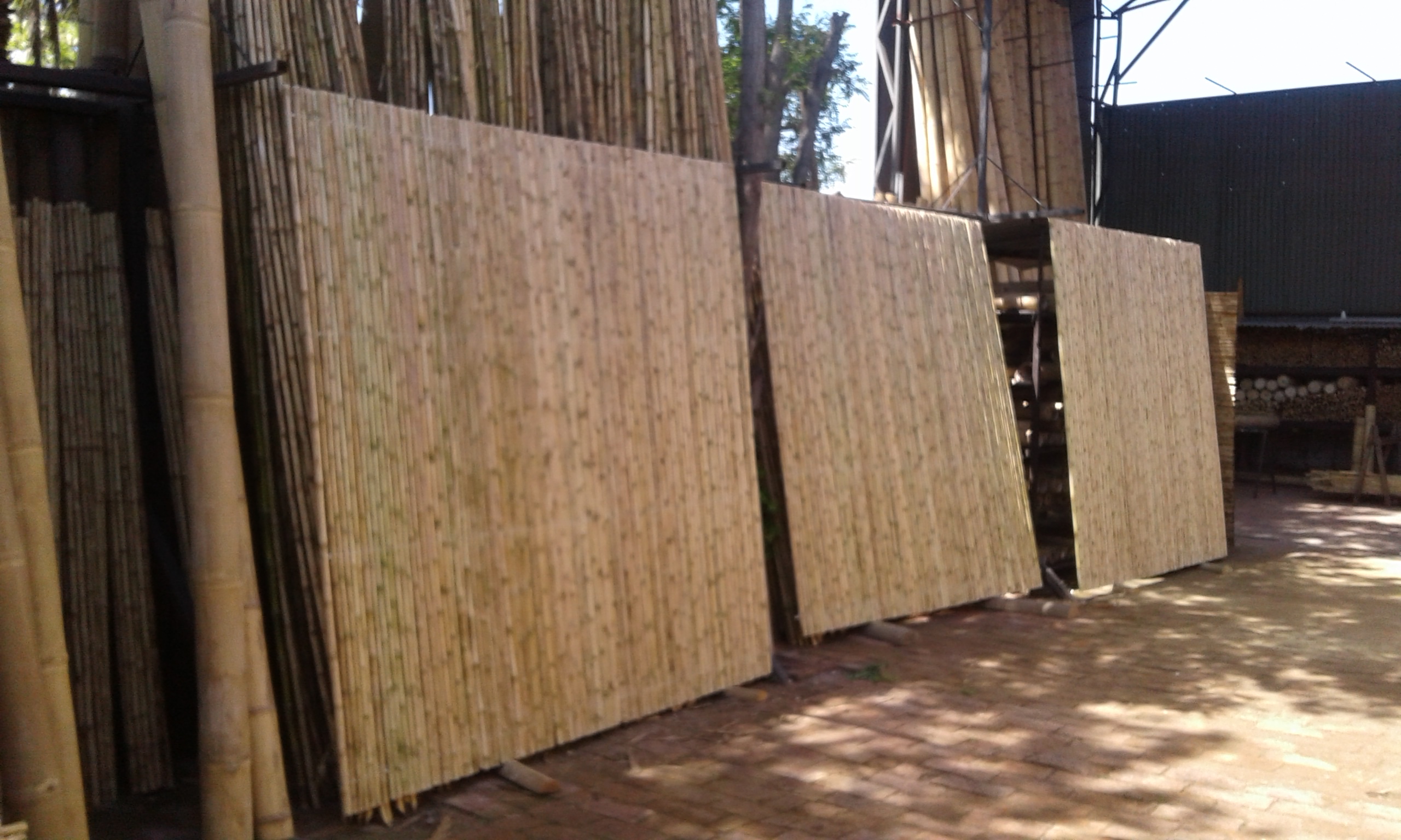 Panel Rígido Compacto de Bambú Colihue | Dosel Bambú