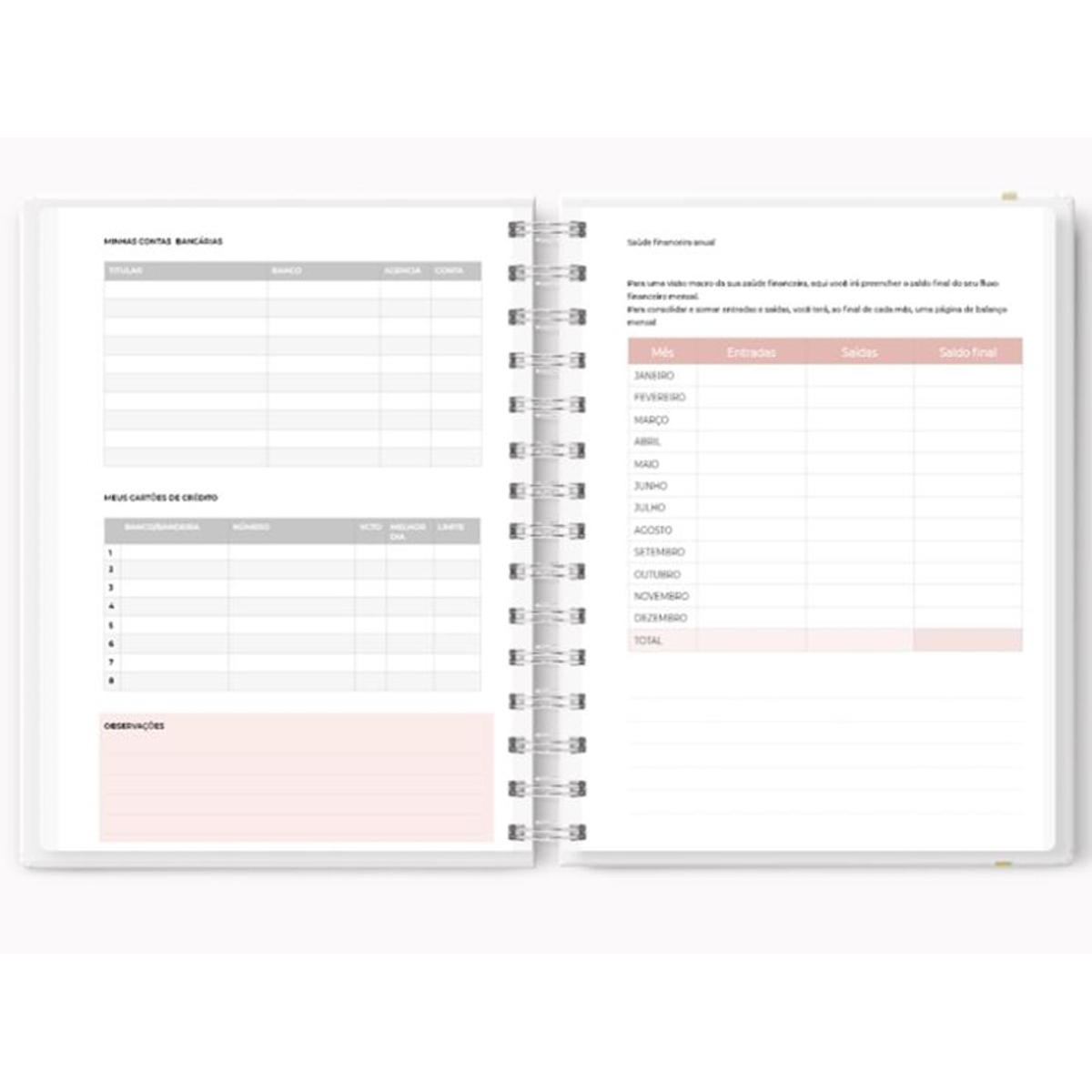 Planner Controle Financeiro Permanente Arquivo em Pdf