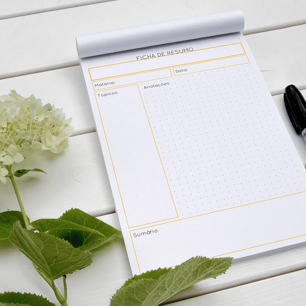 Arquivo Fichas de Estudo e Resumo em Pdf