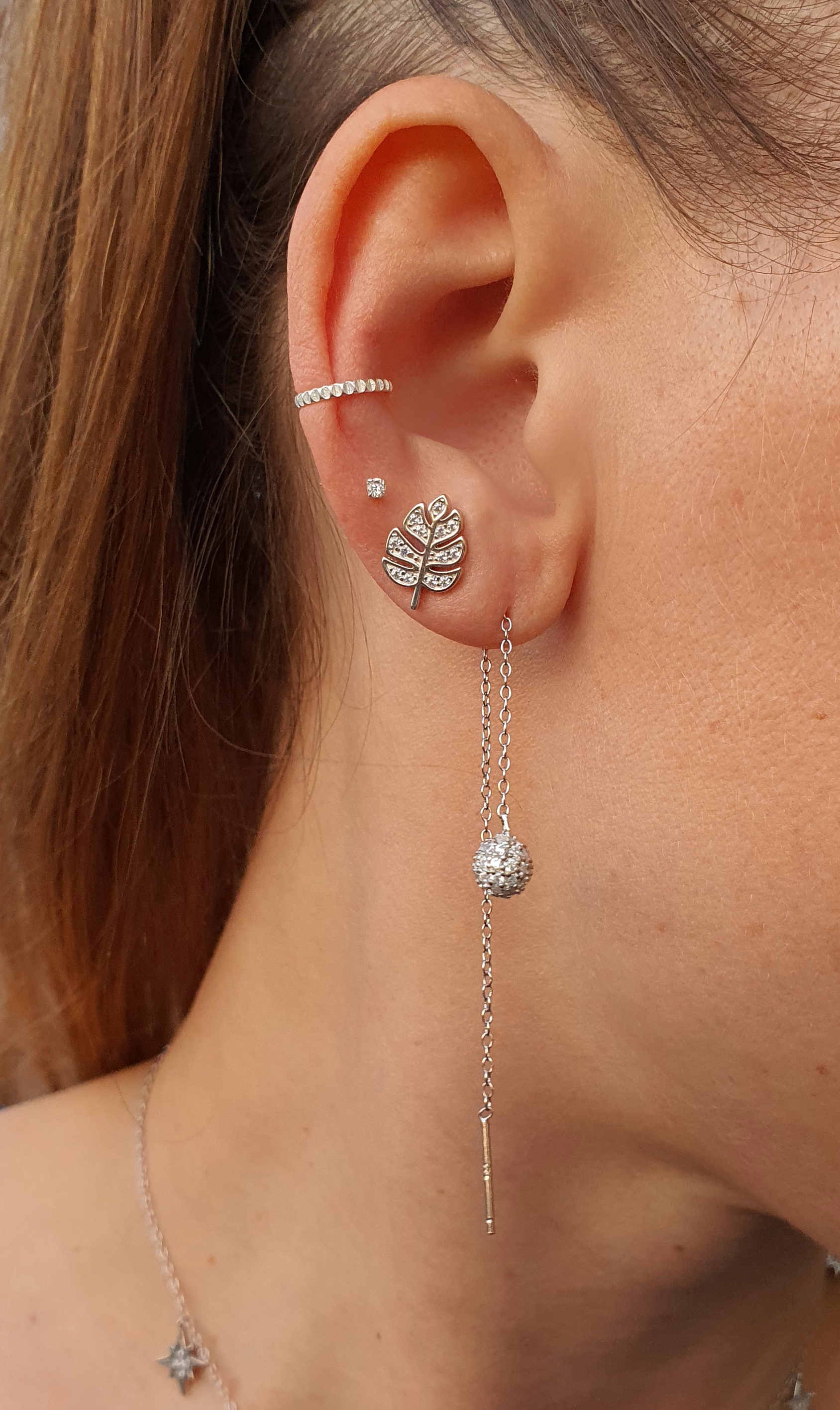 Hoja monstera plateada