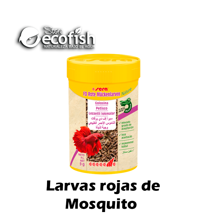 Fd Larva Roja De Mosquito Nature