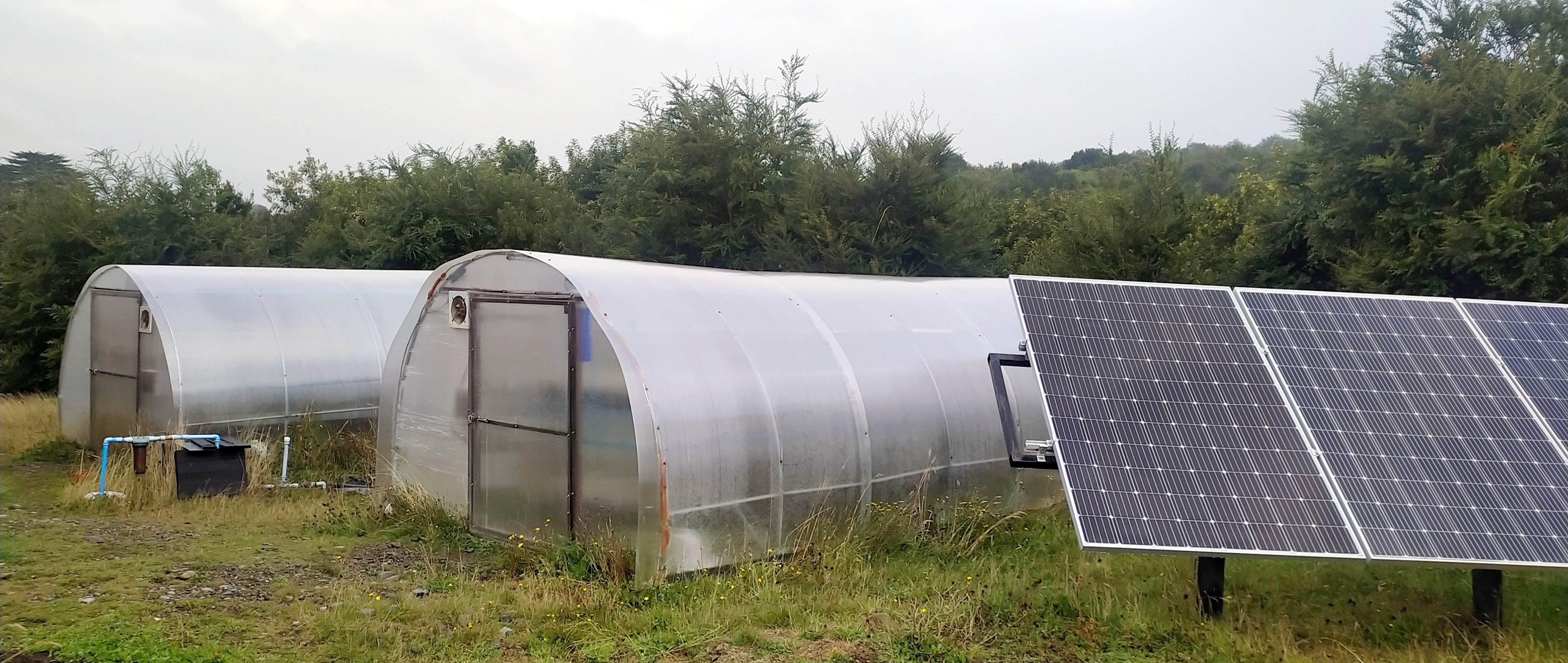 El Factor Ecofishstore