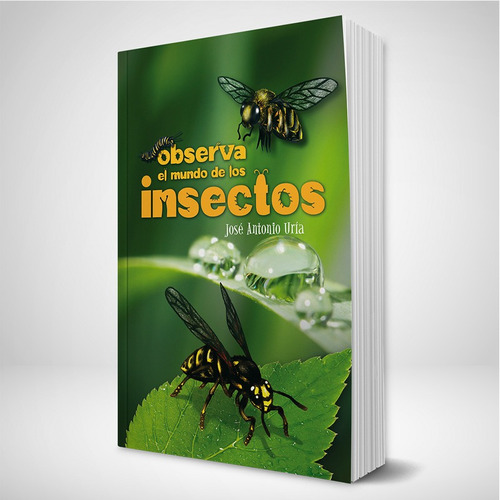 Observa el mundo de los insectos