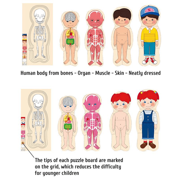 Puzzle Cuerpo Humano