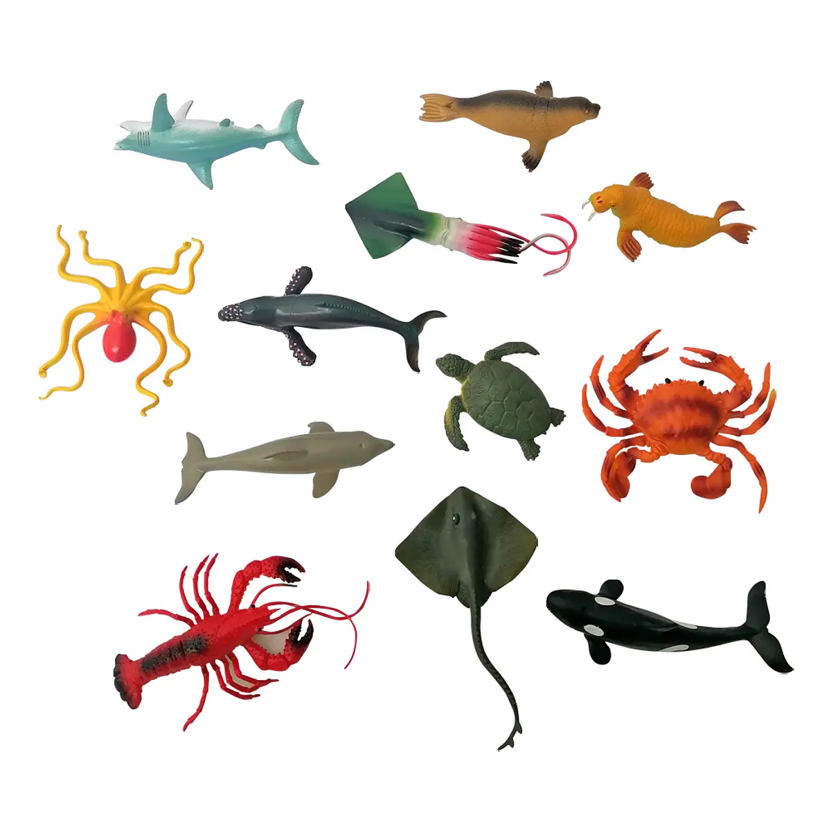 Animales de Mar Grandes en Caja