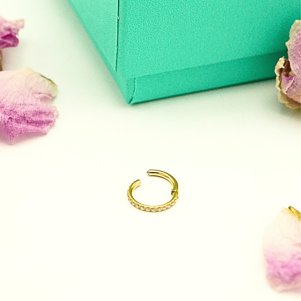 Piercing Septum 8mm Oreja Chapado En Oro Titanio Astm F136