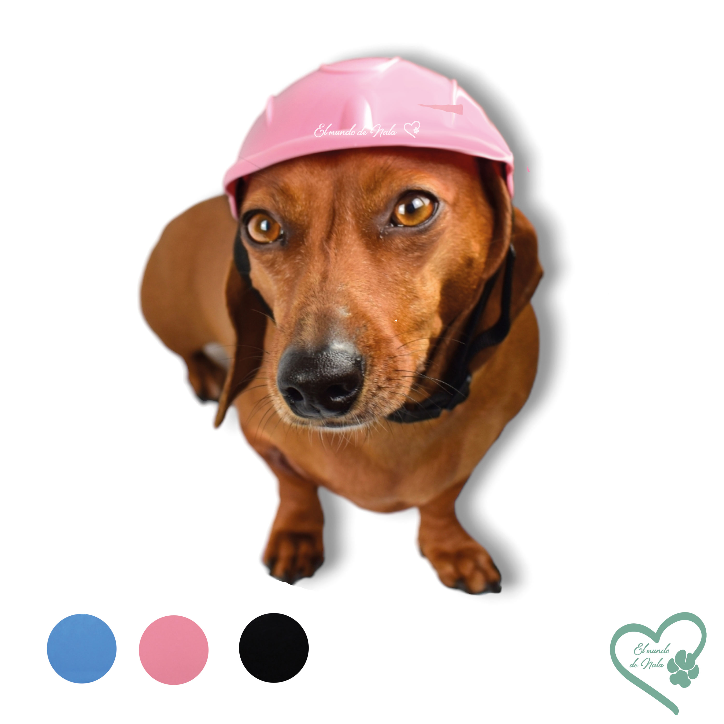 Cascos Para Perros