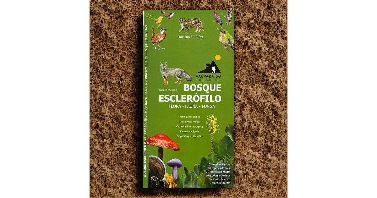 Guía Plegable - Bosque Esclerófilo (flora, fauna y funga)