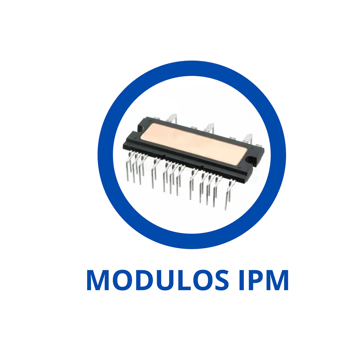 Modulos IPM