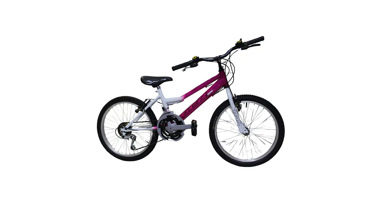 BICICLETA RIN 20 GER MONTAÑERA