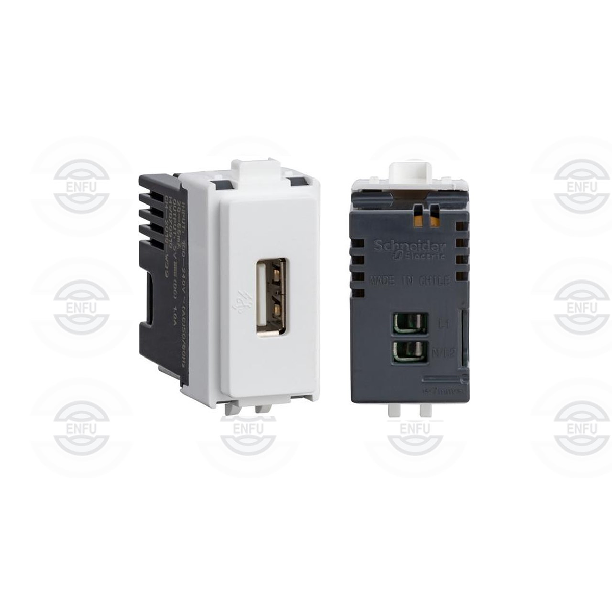 Módulo USB Blanco Génesis Schneider