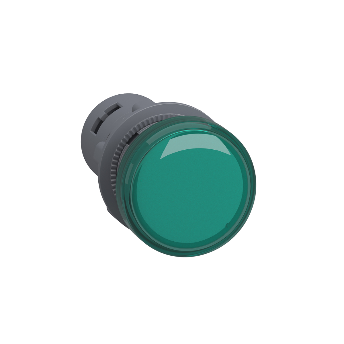 Luz piloto verde luminosa 22mm 220V AC XA2 Easy line Schneid