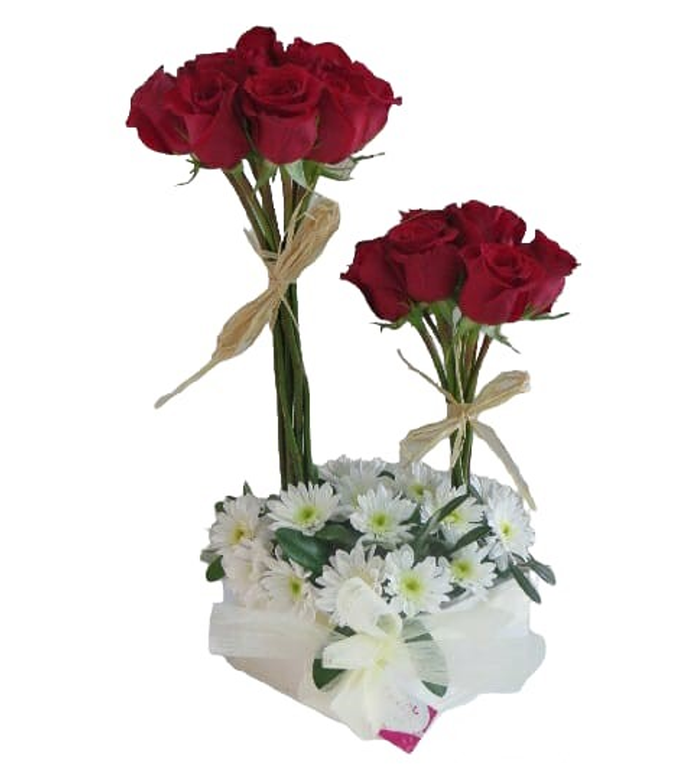 Arreglo 24 Rosas | Transmite Amor Romántico | Envío Flores