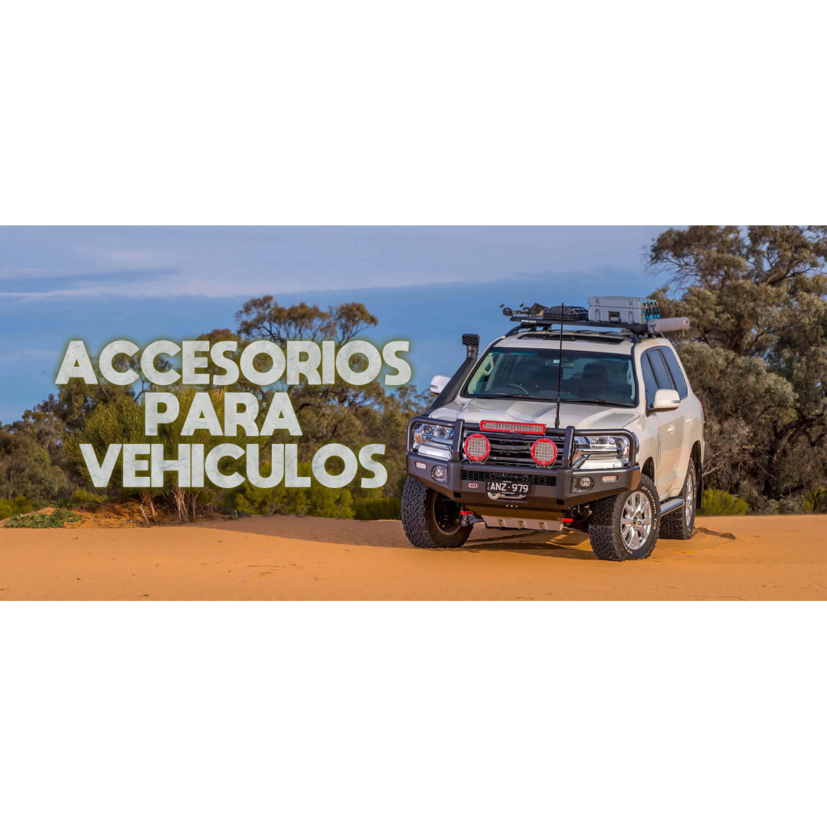 Accesorios para autos