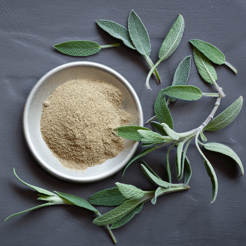 Salvia Molida | Condimentos | Especias | Gourmet