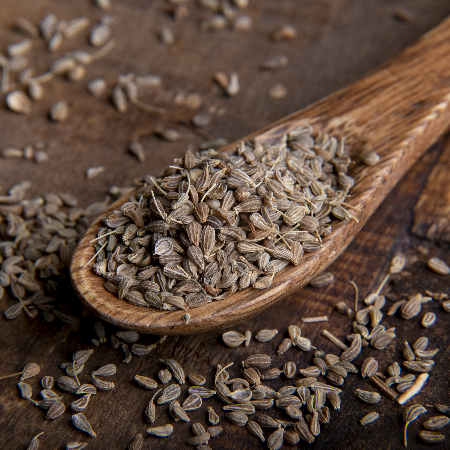 Anís Semilla | Condimentos | Especias | Gourmet
