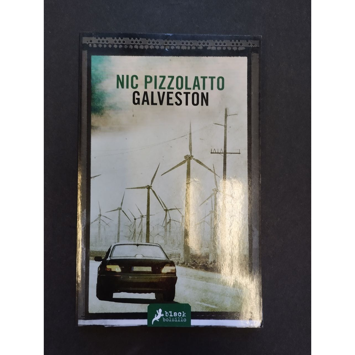 Nic Pizzolatto. Galveston.