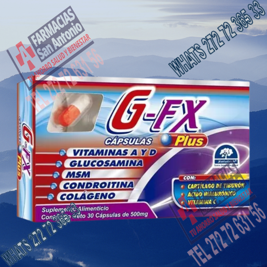 G-FX PLUS 500mg (VITAMINAS A Y D GLUCOSAMIDA MSM CONDROIT...