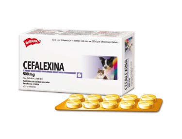 Cefalexina 500 mg (10 Comprimidos)