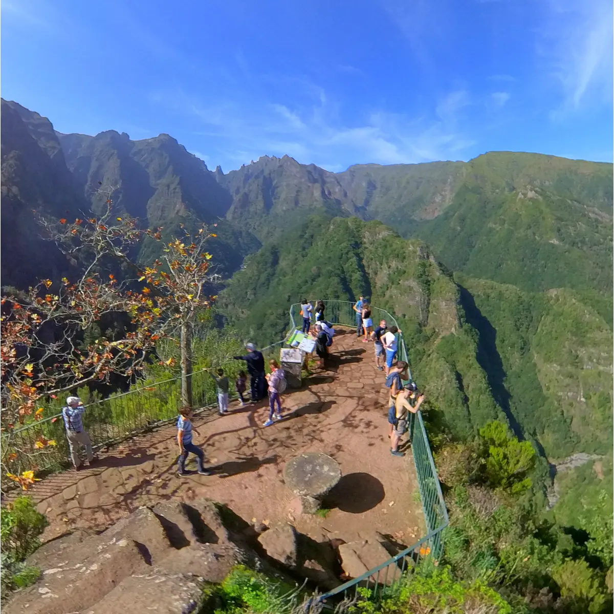 Tours in Madeira Island