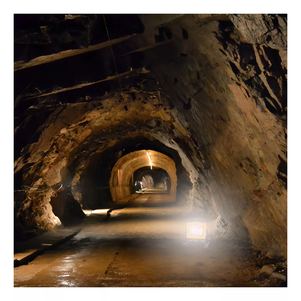 Foco Lampara Led Inalambrico Luz Blanca 20V / 900-1800 Lum I