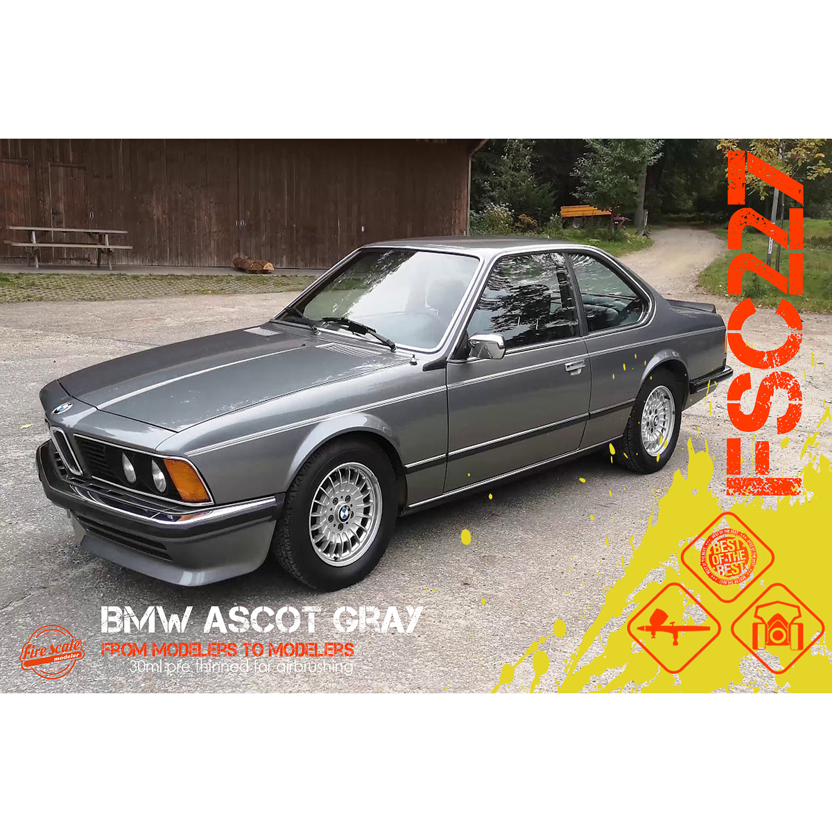 Ascot Gray BMW