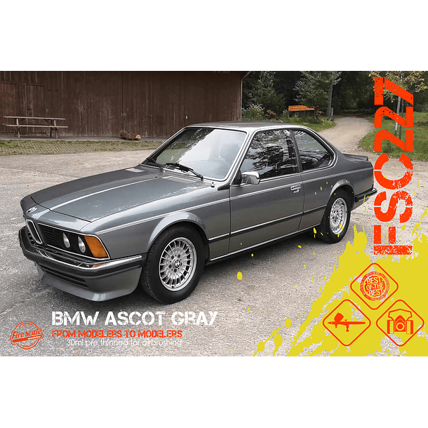 Ascot Gray BMW