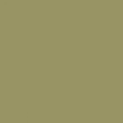 RAL 6014 Yellow olive