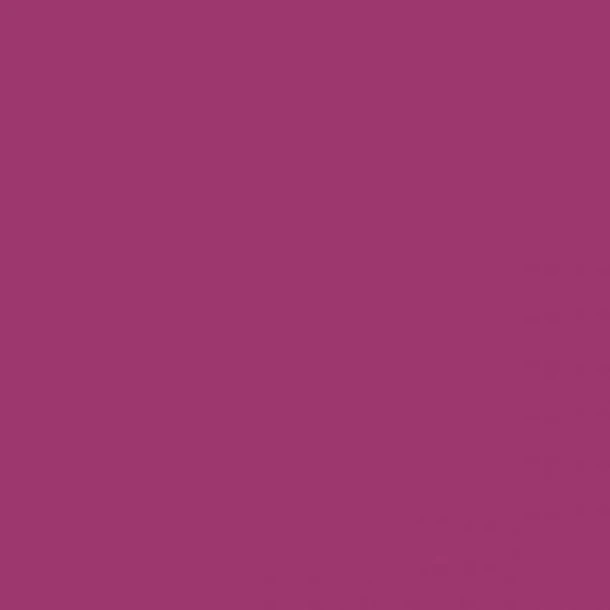 Ral 4006 Traffic purple