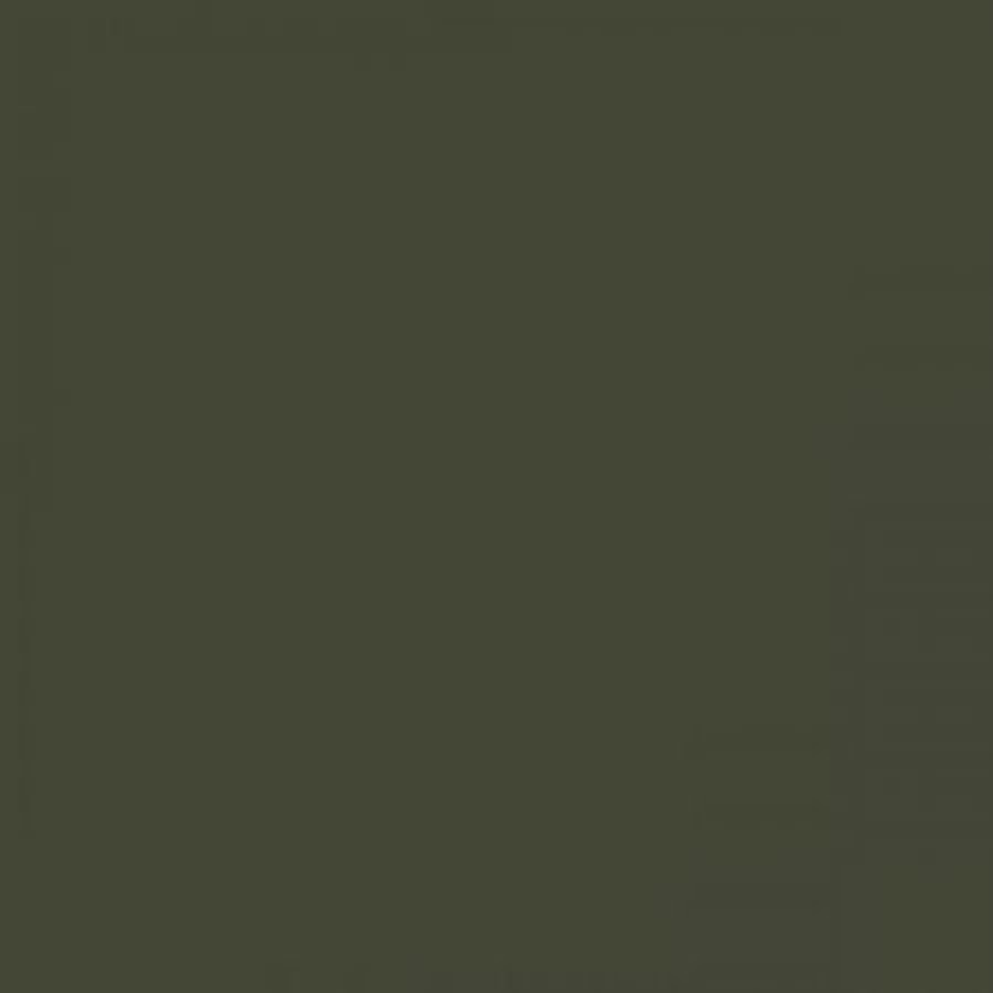 RAL 6003 Olive green