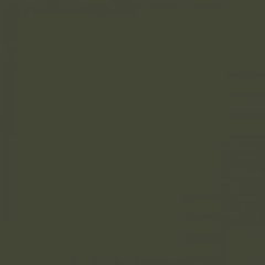 RAL 6015 Black olive