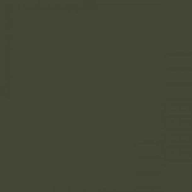 RAL 6003 Olive green