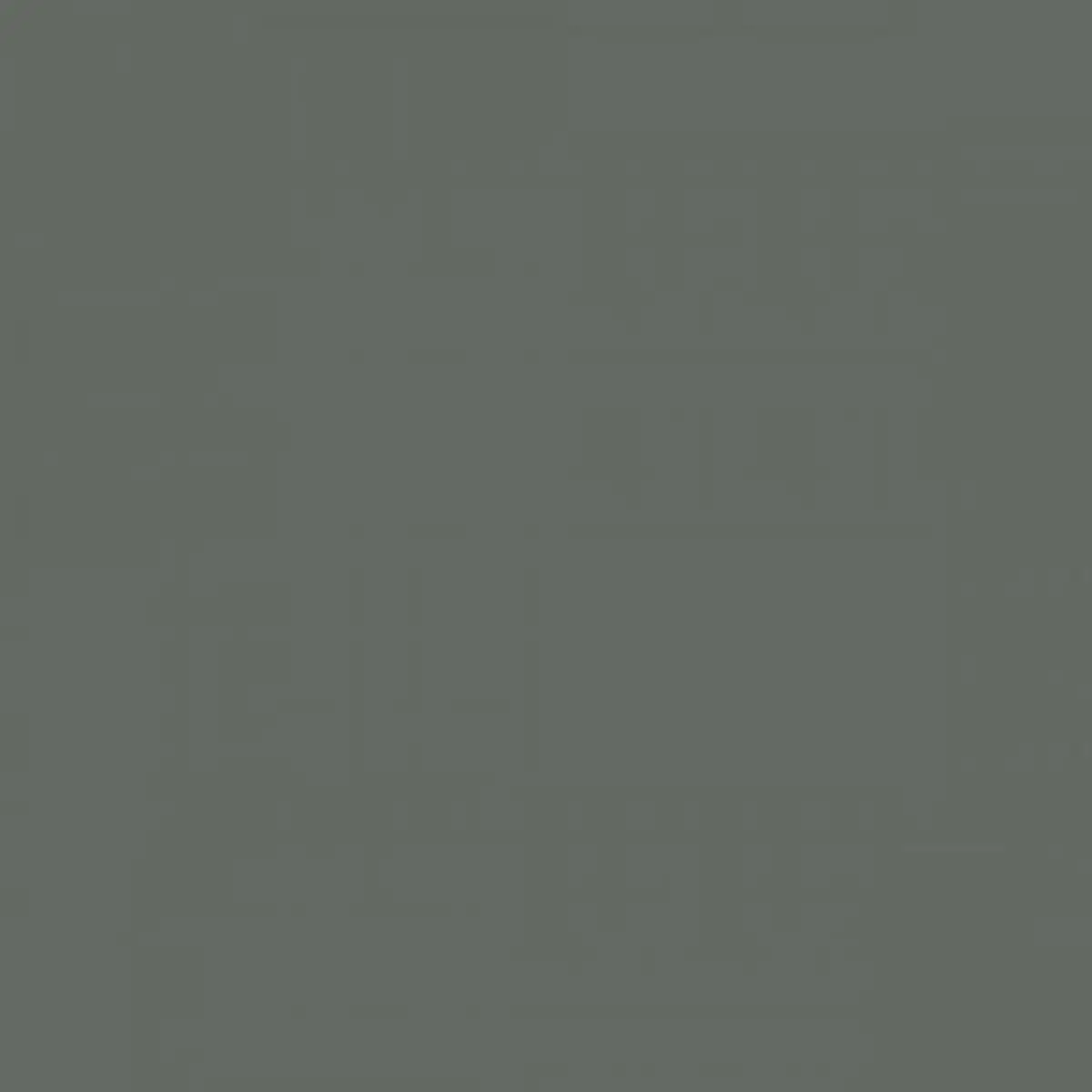 RAL 7005 Gris souris