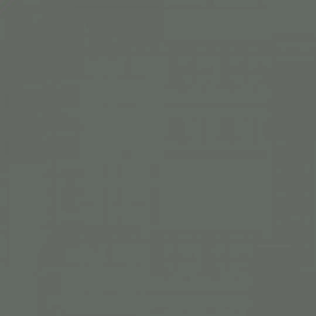 RAL 7005 Mouse grey